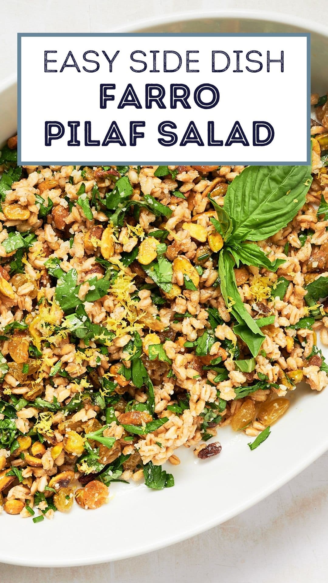 15 Minute Farro Pilaf with Lemon Vinaigrette | Josie + Nina