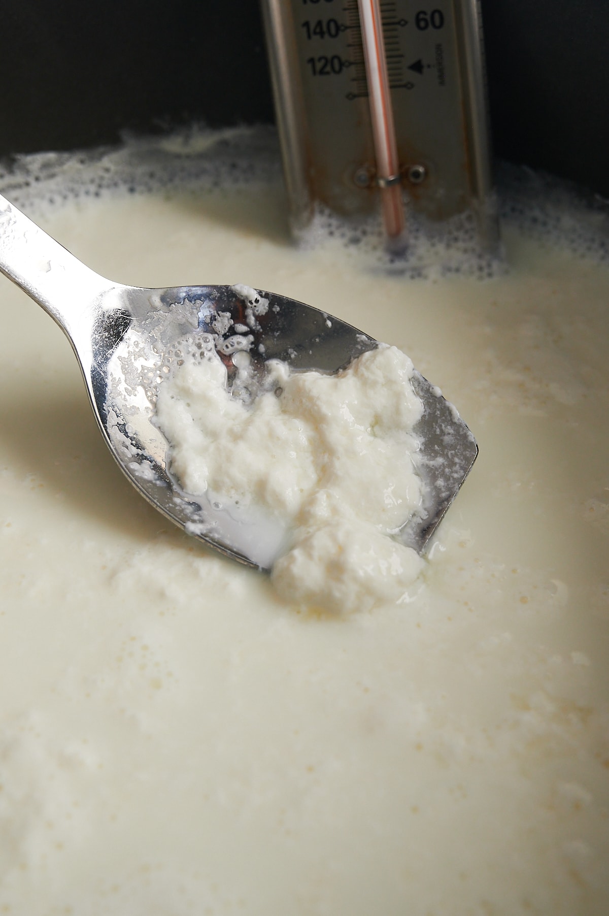 15 Minute Creamy Ricotta Cheese from Scratch (with white vinegar ...