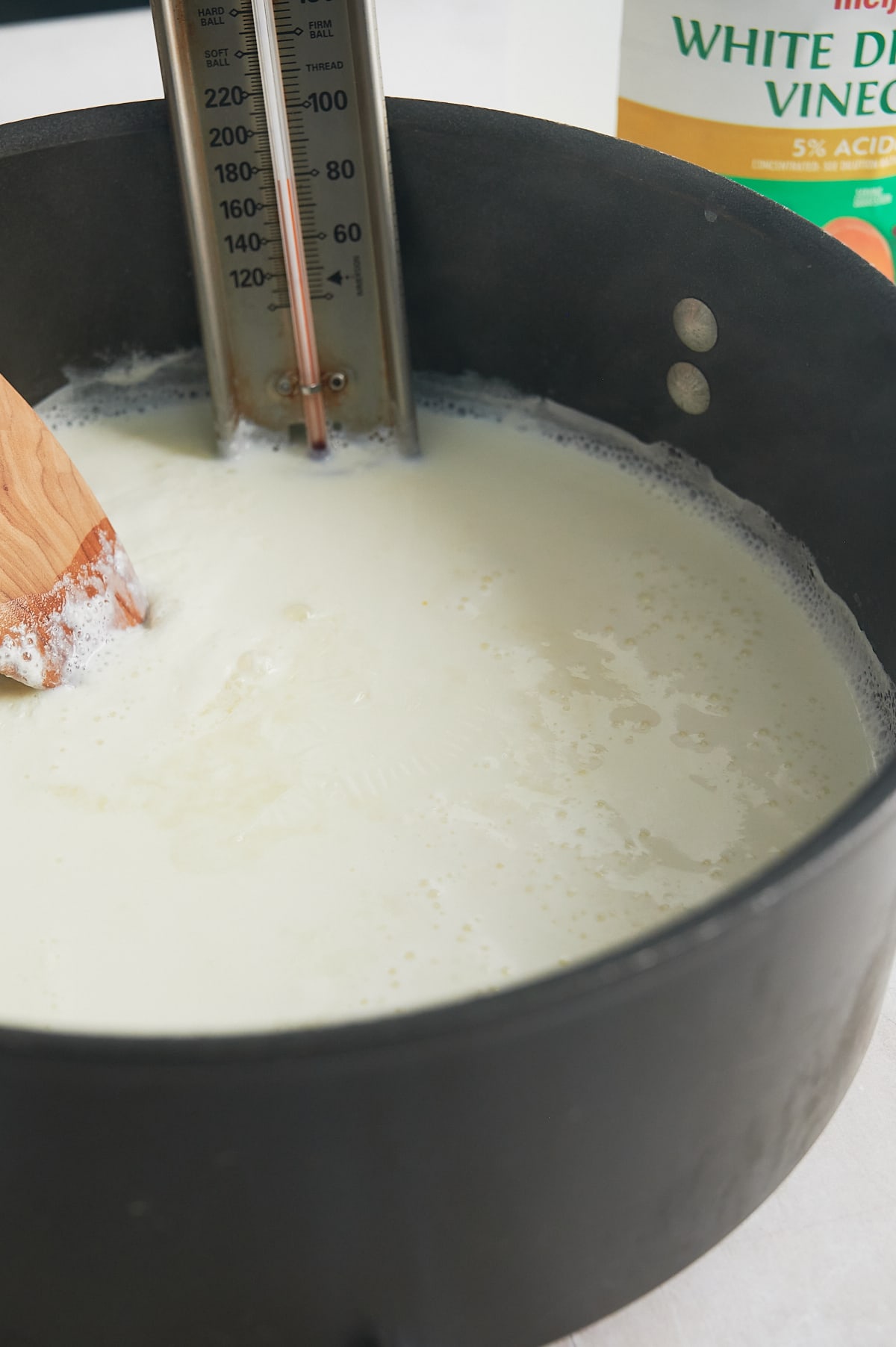 15 Minute Creamy Ricotta Cheese from Scratch (with white vinegar ...